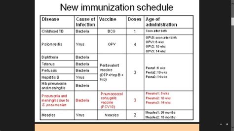 Immunology Flashcards Quizlet