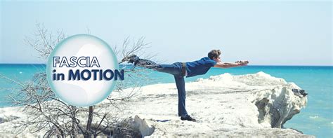 Muscle Testing A Concise Manual Muscle Testing A Concise Manual Is