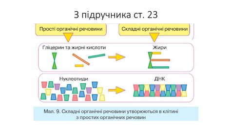Будова рослинної клітини презентация онлайн