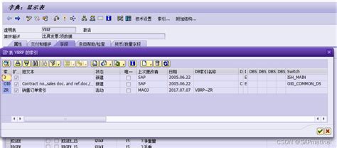 sap 主索引和二级索引 sap 表的二次索引 csdn博客