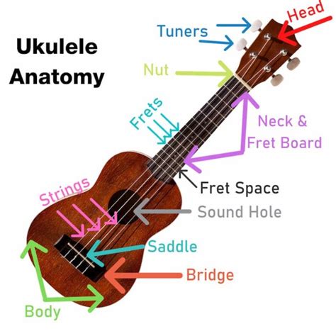 Ukulele Parts And Pieces Music Constructed