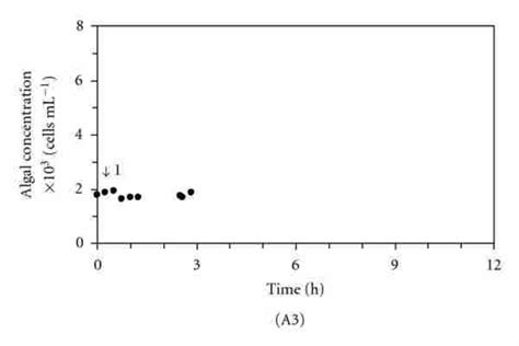 Mytilus Edulis Steady State Feeding Experiments No 1 To No 10