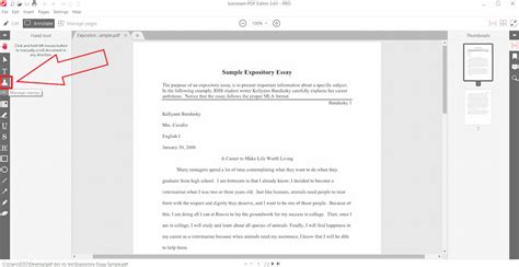 How Do I Stamp PDF For Free Icecream Apps