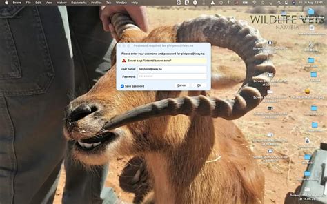 Problem With V 10 Of Em Client Mail Em Client