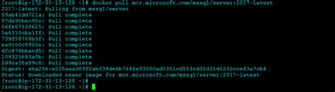 How To Deploy Docker Container In Sql Server Step By Step Guide
