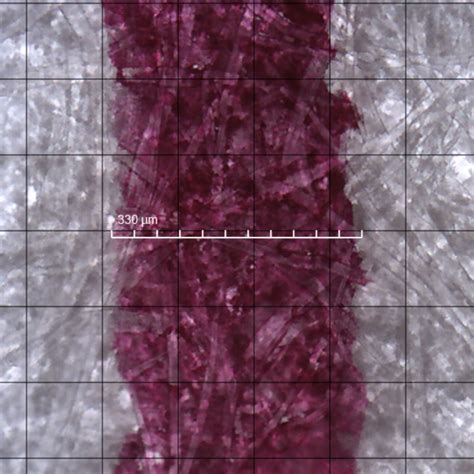 Extra Fine Nib Ink Review Diplomat Orchid R Fountainpens