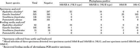 Phytoplasma Subgroup Detection In The Total Adult Specimens Collected Download Scientific
