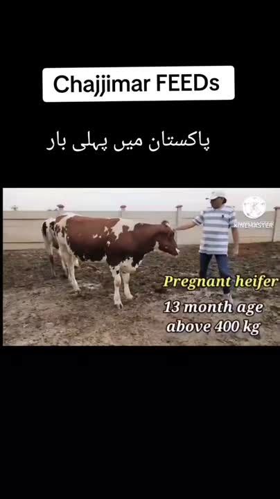 Drkhalid Pervaiz Posted On Linkedin