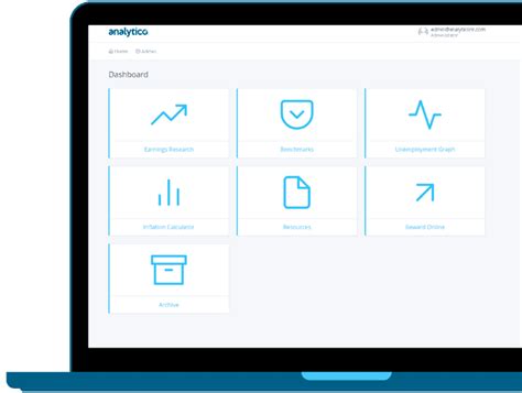 Analytico 21st Century