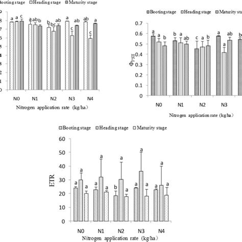 Effects Of Different Nitrogen Application Rates On The Photochemical