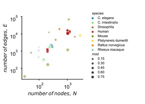 Allometric Scaling In Empirical Connectomes Scatter Plot Describing