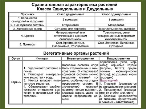 Таблицы и схемы по биологии для подготовки к егэ