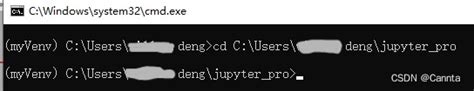 【jupyter】jupyter lab安装与启动 jupyterlab启动方式 csdn博客