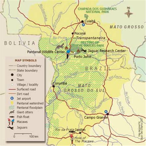 Pantanal The Wetlands