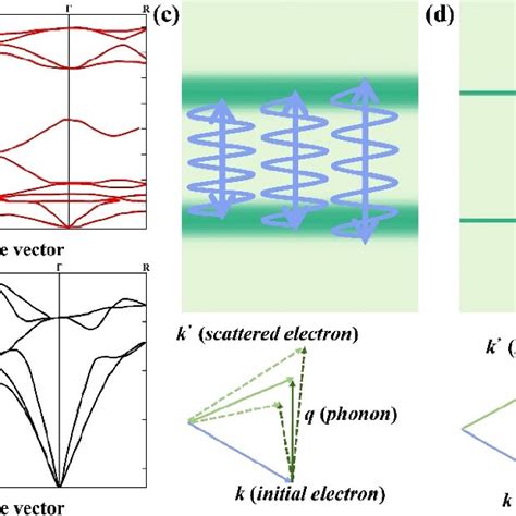 Temperature Dependent Coherent Phonon Frequency In Gdmn 6 Sn 6 With An Download Scientific