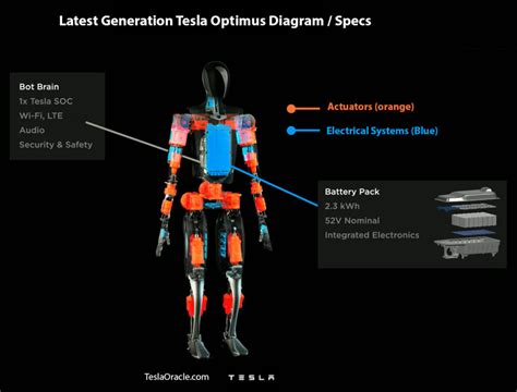 Tesla Investor Day The Ratio Of Humans To Humanoid Robots Might Exceed