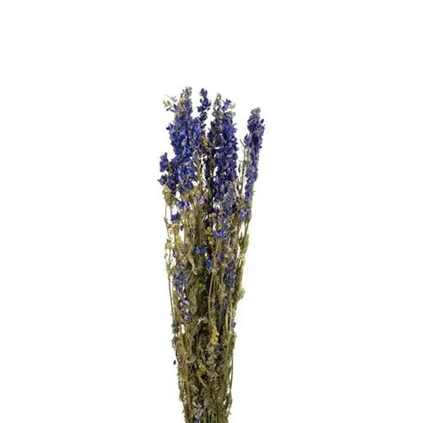 Dried Delphinium Blue Natural 25 Bunches Petaldriven