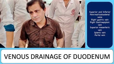 Dr Azmi Mohsin On Linkedin Venous Drainage Of Duodenum