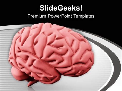 Human Brain Sculpture PowerPoint Templates Ppt Backgrounds For Slides
