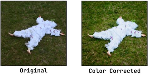 What Is Color Correction And Color Grading