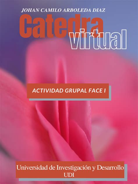 actividad grupal de catedra fase i johan camilo arboleda diaz