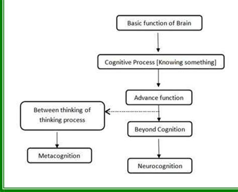 Outline Cognitive Process In Human Brain Download Scientific Diagram