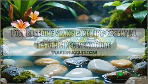 Snake Morph Guide Explore Genetic Mutations And Unique Reptile Traits