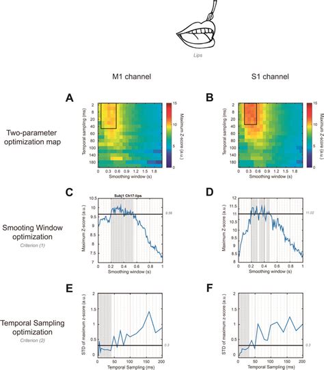 Two Parameter Optimization For The Lips Sensory Single Class Paradigms Download Scientific