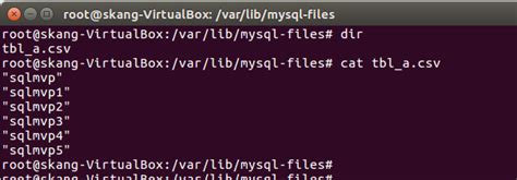 MySQL MariaDB 데이터를 CSV로 내보내기