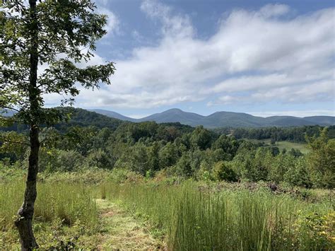 Cucumber Hill Hipcamp In Big Island Virginia