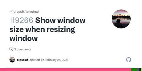 Show Window Size When Resizing Window · Issue 9266 · Microsoft
