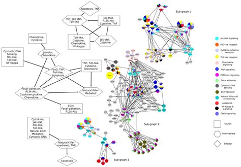 Visualisation Of The Three Modulated Sub Graphs Identified By Modulated