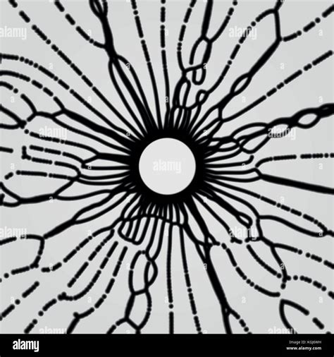 Array With Dynamic Particles 3d Technology Style Abstract Background