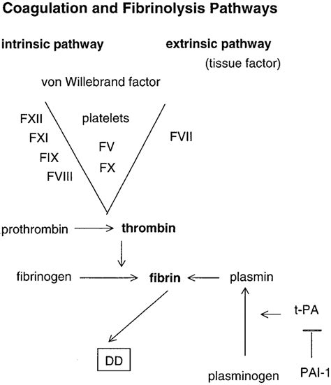 The Scheme Presents Coagulation And Fibrinolysis Pathways Roman
