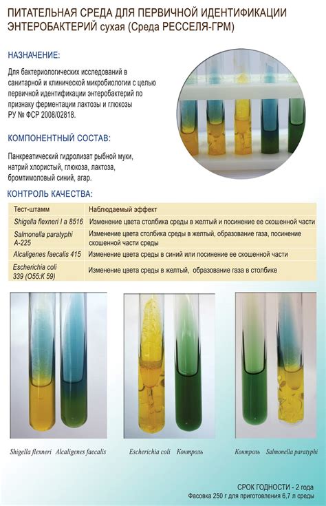 Продукция