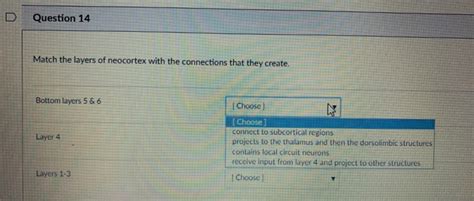 Solved Question 14 Match The Layers Of Neocortex With The
