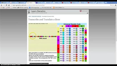 How To Transcribe And Translate YouTube