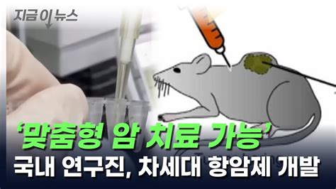 맞춤형 암 치료 가능 국내 연구진 차세대 항암제 개발 지금이뉴스 Ytn Youtube