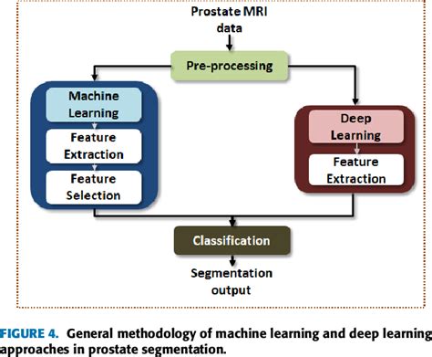 Figure 4 From Recent Automatic Segmentation Algorithms Of Mri Prostate Regions A Review