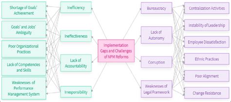The Gaps And Challenges Of The Implementation Of The Npm Reforms