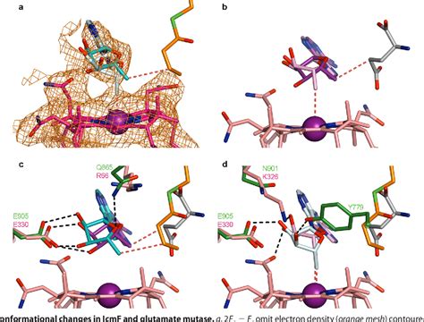 Figure 1 From Structural Basis For Substrate Specificity In