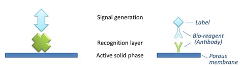 Scheme Of A General Biosensor In The Simpler Arrangement And The