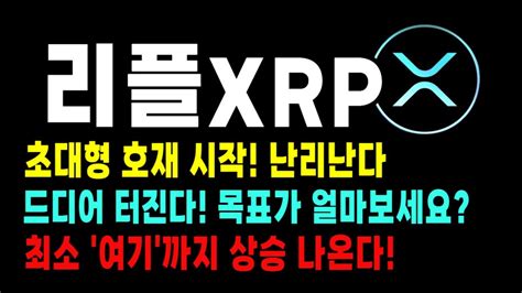 리플코인전망⭐드디어 터진다 은행인가에 연준까지 초대형 호재 시작 상승랠리전 이것만 주의하세요 리플전망 리플코인 리플
