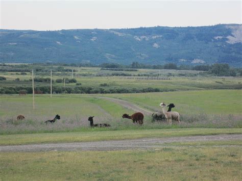 Paul Ranch Montana Llc Reviews Babb