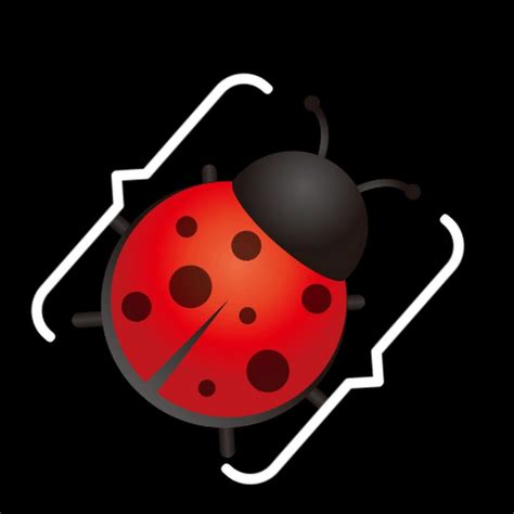 Codebugs Youtube