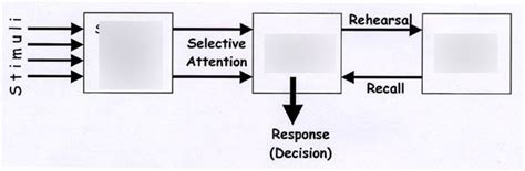 Memory Models Diagram Quizlet