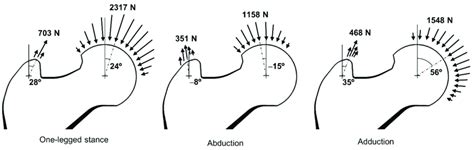 Three Load Conditions To Consider Daily Activities Download Scientific Diagram