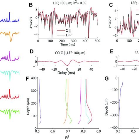 Spectral Analysis Of Lfp Signal A Power Spectra Of The Lfp Signal At