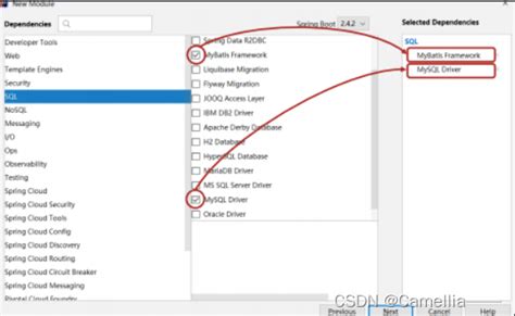 整合mybatis和mybatis Plus Csdn博客
