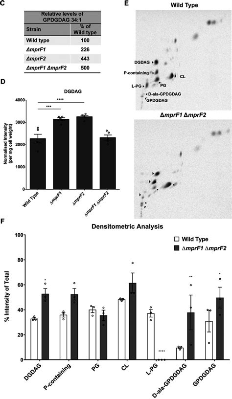 Depleting Cationic Lipids Involved In Antimicrobial Resistance Drives